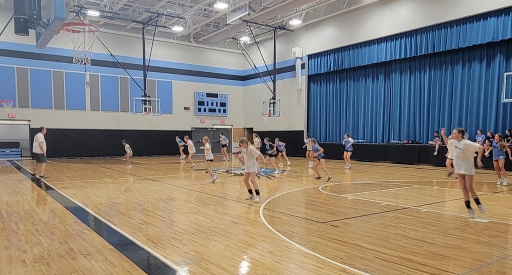 Live Feed | Summerland Public School